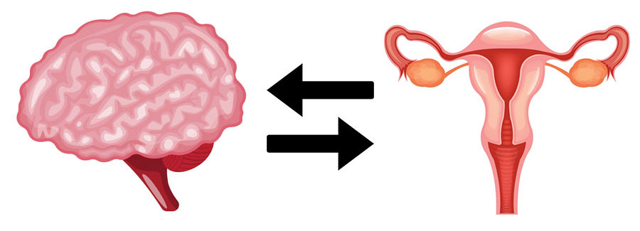 Pickup and Seduction Gambit: The Mental G-Spot | Girls Chase